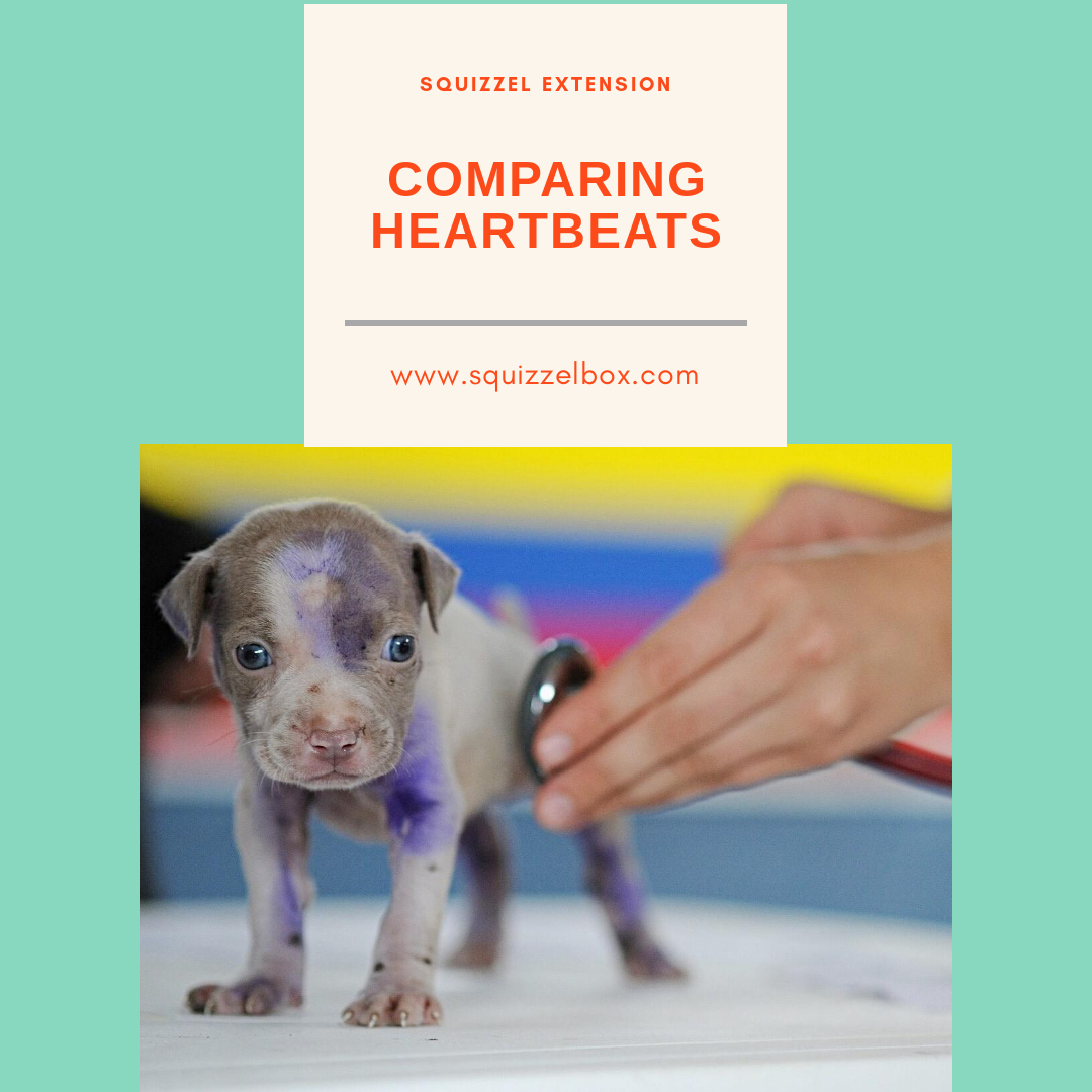 Comparing Heartbeats – Squizzel Box