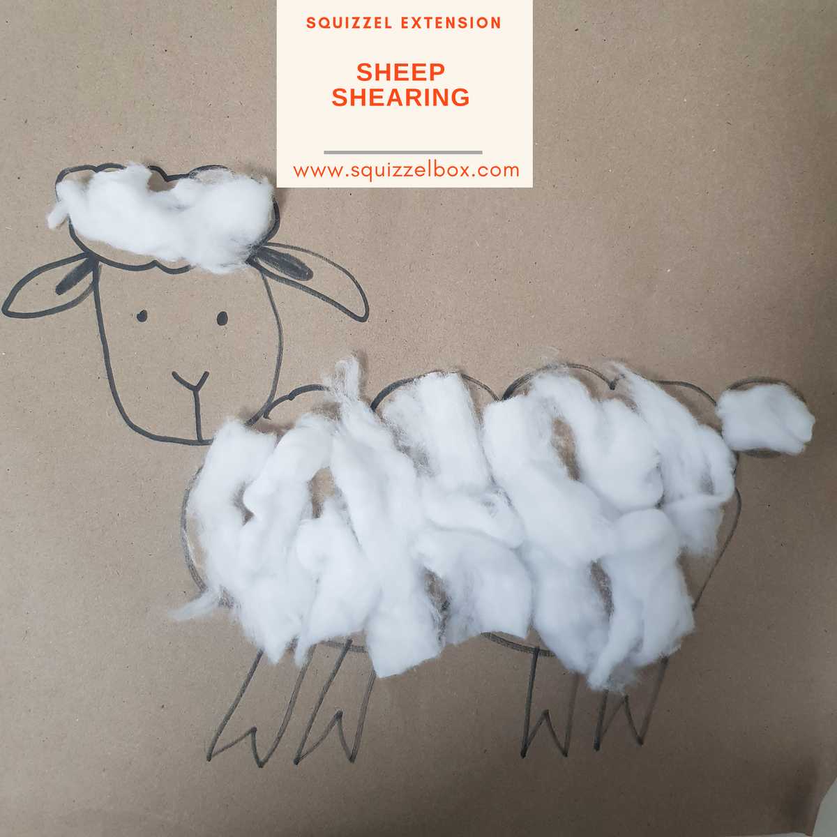 Sheep Shearing – Squizzel Box