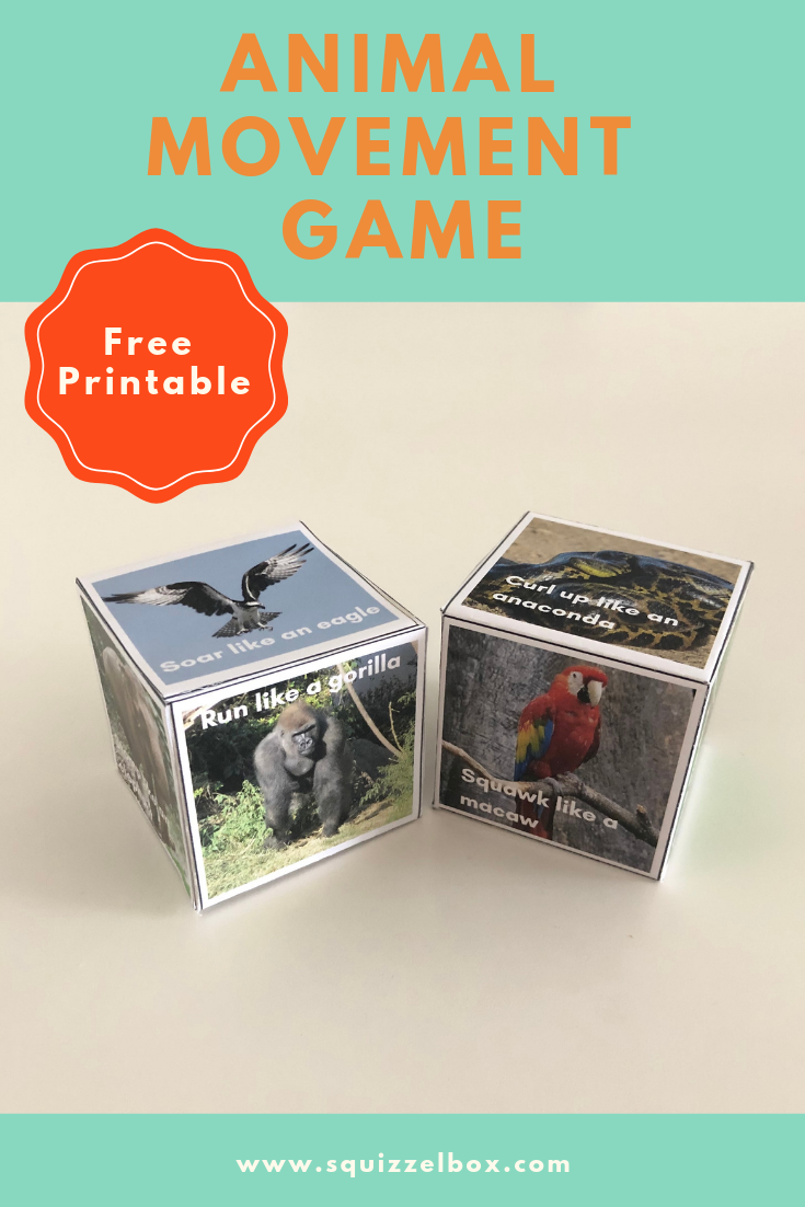 Rainforest Extension Activity - Action Song & Animal Movement Fun ...