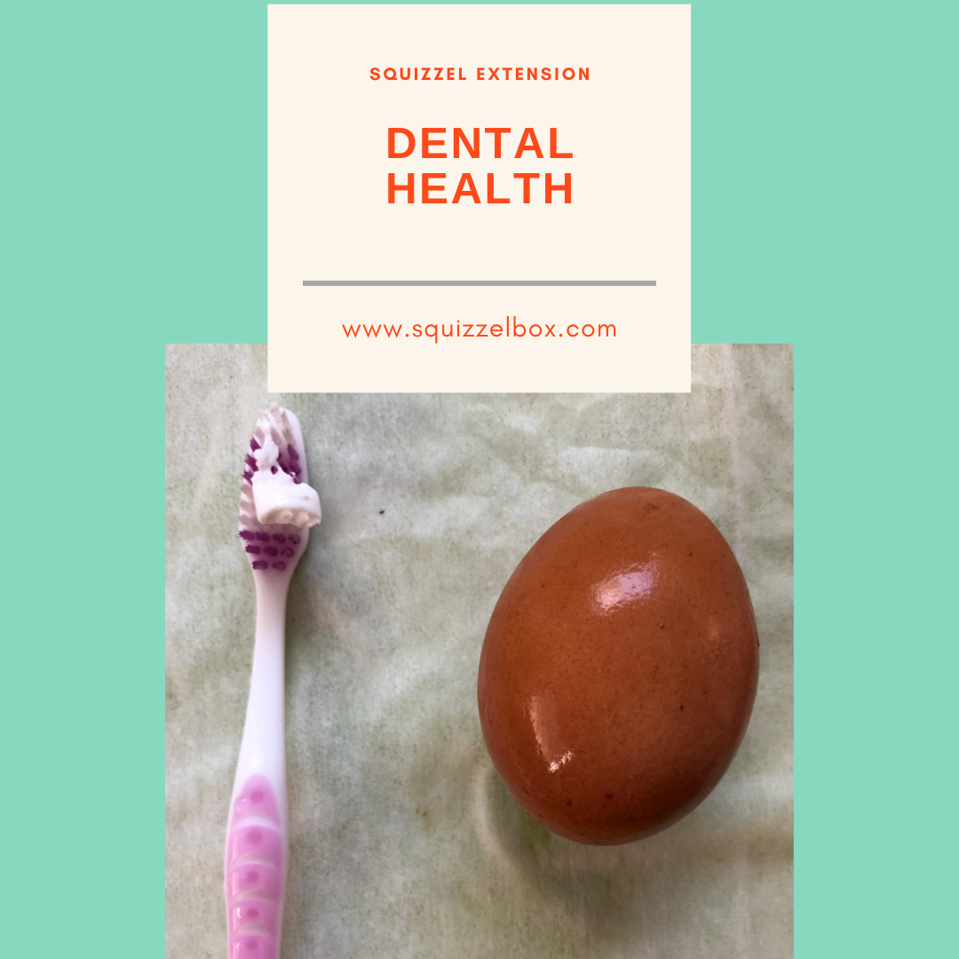 Dental Health Activity for Kids – Squizzel Box