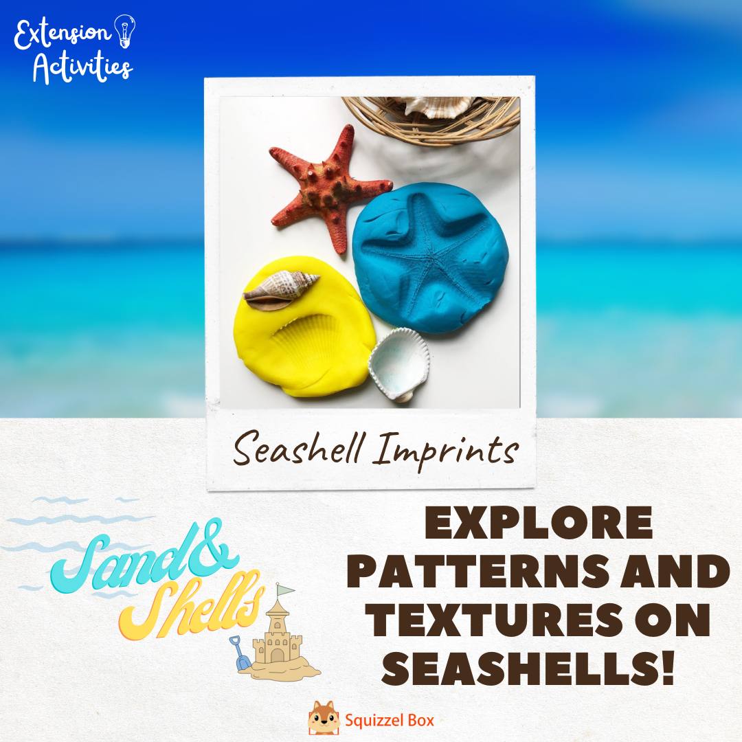 Seashell Imprints – Squizzel Box