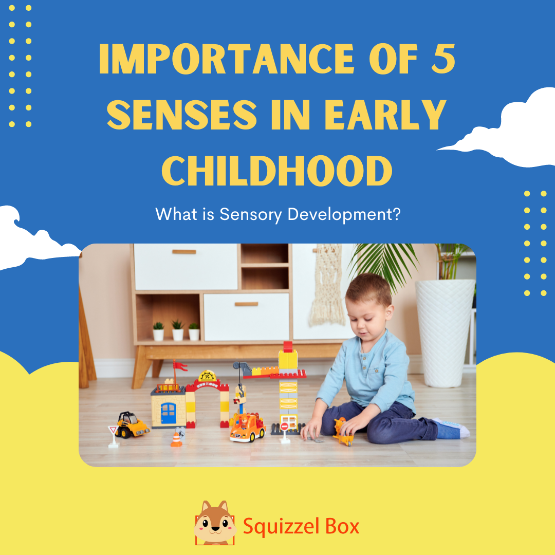 Importance of 5 Senses in Early Childhood – Squizzel Box