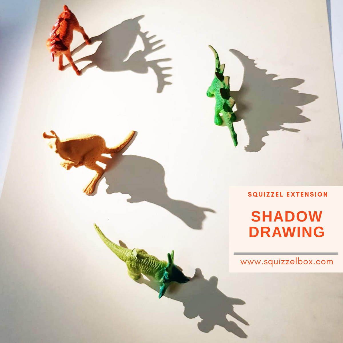 Shadow Drawing – Squizzel Box