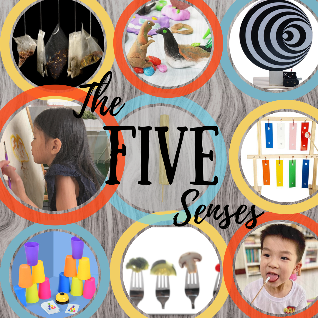5 Senses Box – Squizzel Box