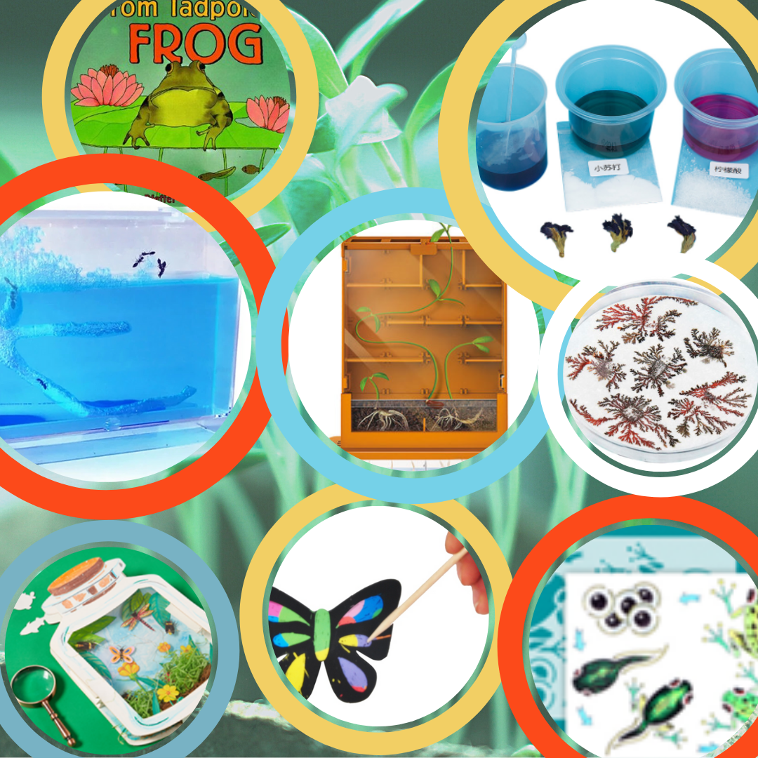 Secret Garden Box – Squizzel Box